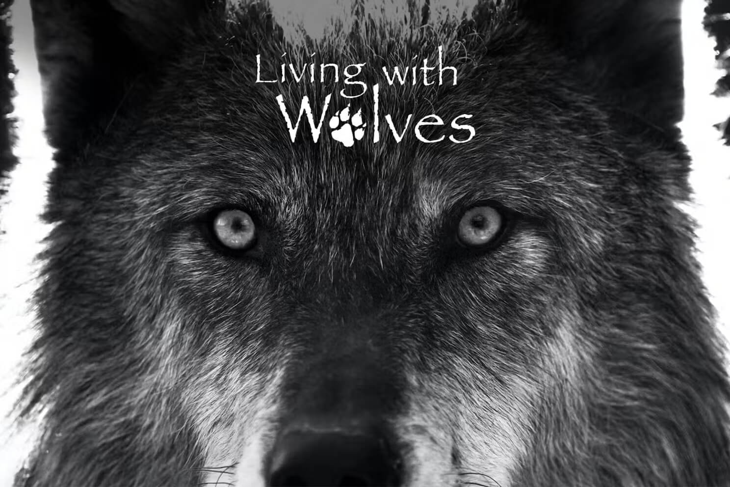 Here in Wolf Country – Jacques Marie Mage